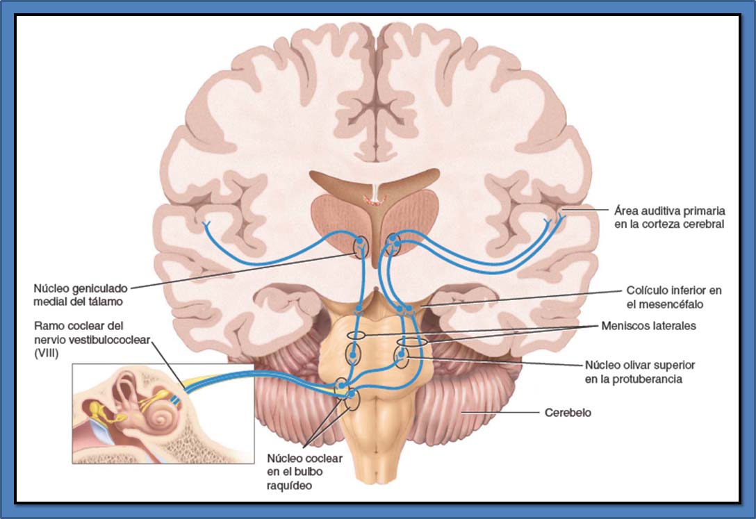 2021 ~ Biopsicosalud