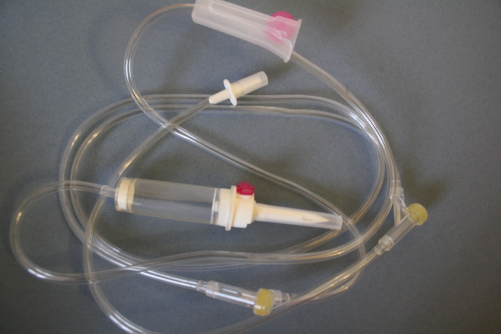 Lilongwe Society for the Protection and Care of Animals: And.. lots of ...