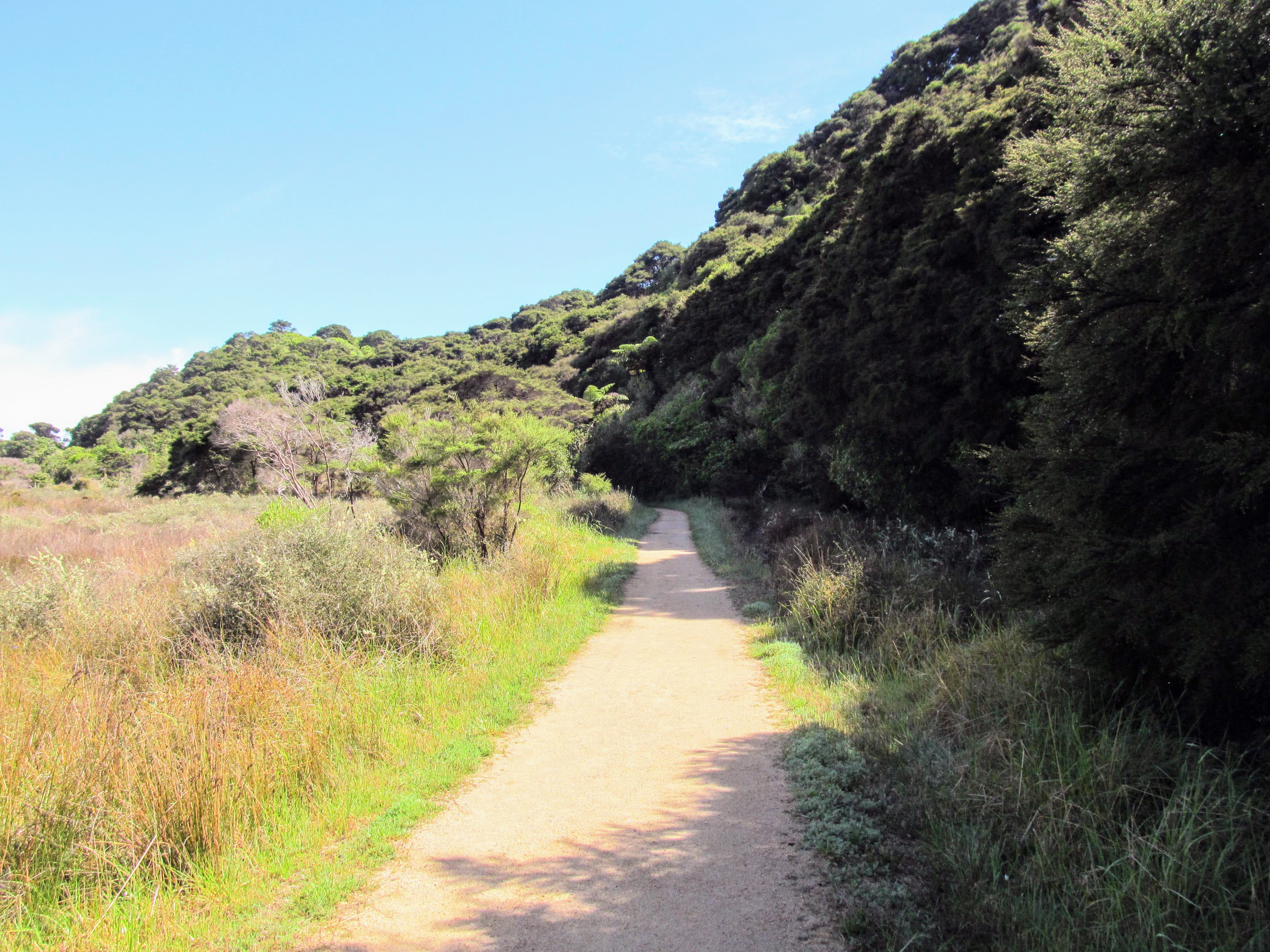Tramping in the New Zealand backcountry: NZ Bush Adventures: Wainui ...