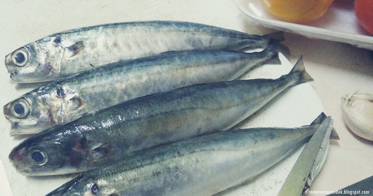 Ikan Basung Atau Ikan - CortezropAguirre