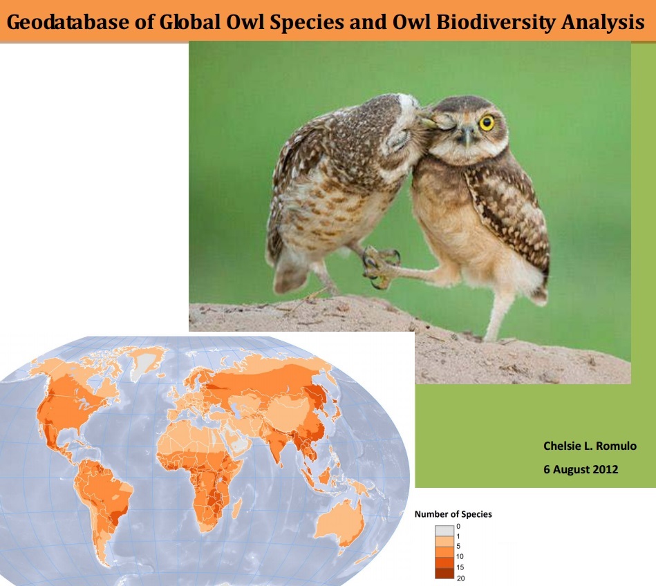 Species New to Science: [Ornithology • 2012] Geodatabase of Global Owl ...
