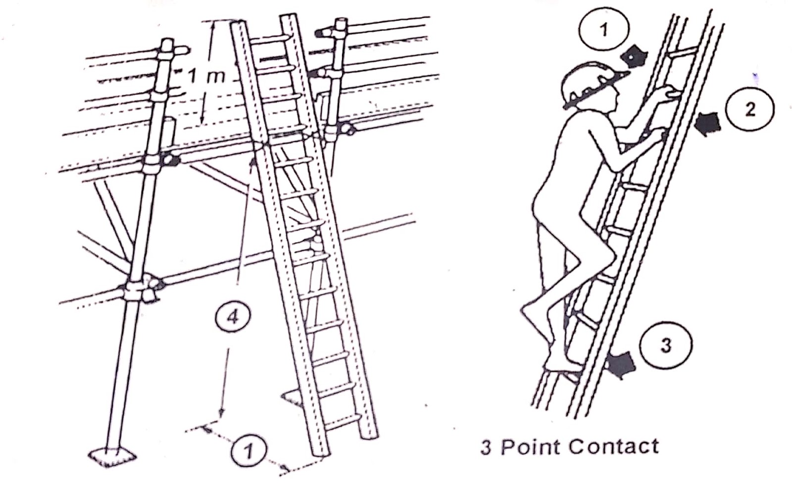work at height safety on ladder