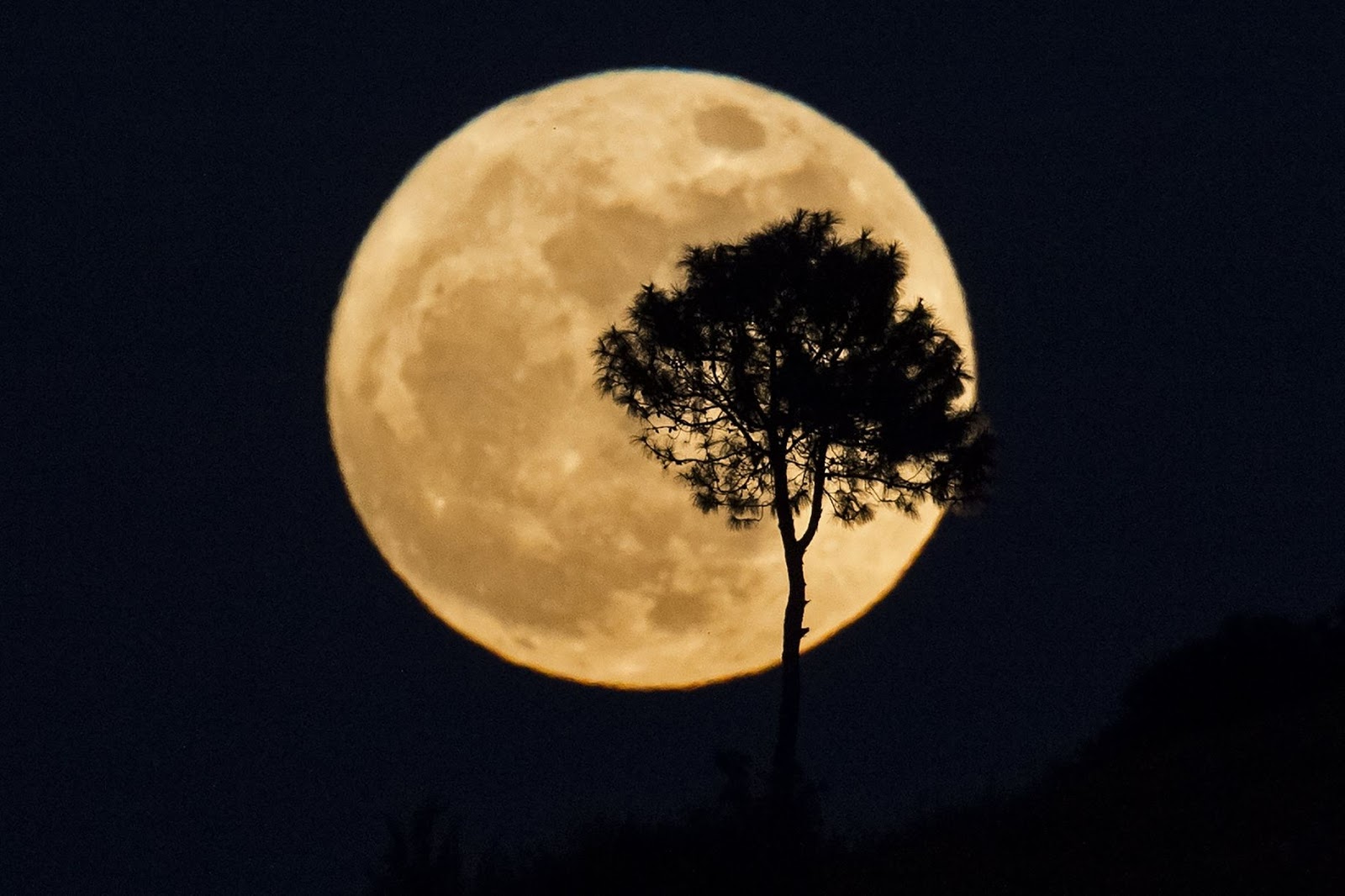 White Wolf : Super Moon 2016: 5 Amazing Facts About The Biggest And ...