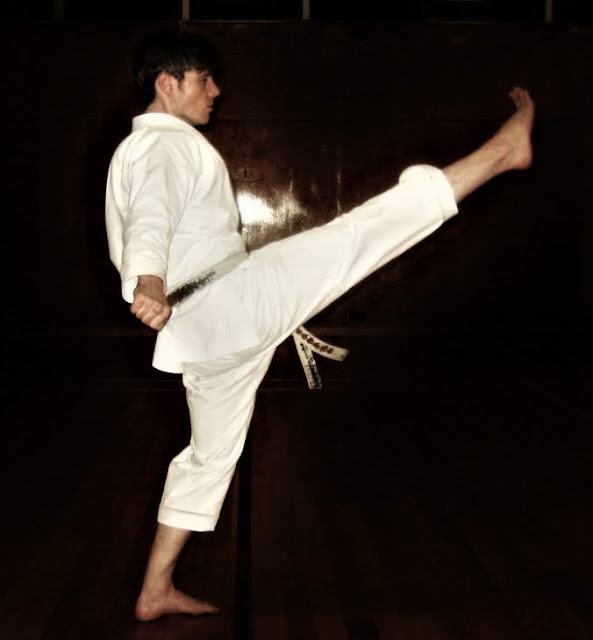 André Bertel's Karate-Do: Ido Kihon elucidating blind faith