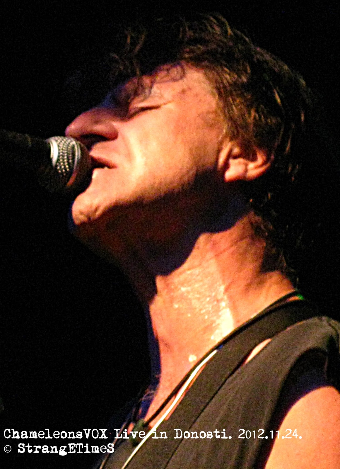 StrangE TimeS. A Chameleons UK blog: CHAMELEONSVOX Live in Donosti 2012