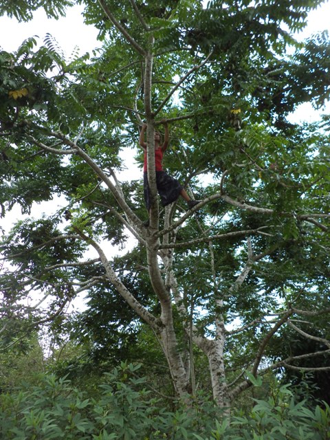 Sonrie: Finca Loroco, Barrio cataratas, Canton de Talamanca, Bribrí