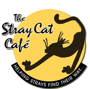 Arlington Yupette: Stray Cat Cafe' to Re-Open This Week