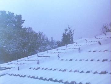 Vem Curitiba!: Neve em Curitiba!