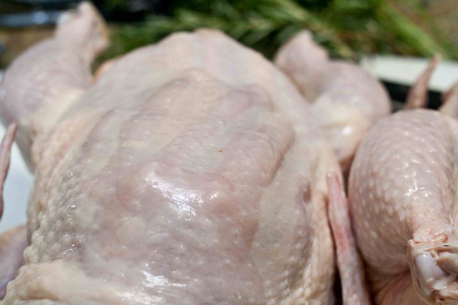 FOODjimoto: Barbecued Beer Can Chicken