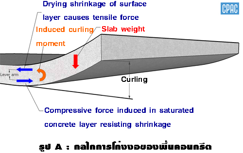 การเกิดการโก่งงอของพื้นคอนกรีต (Curling of Concrete Slabs) - บริการเท ...