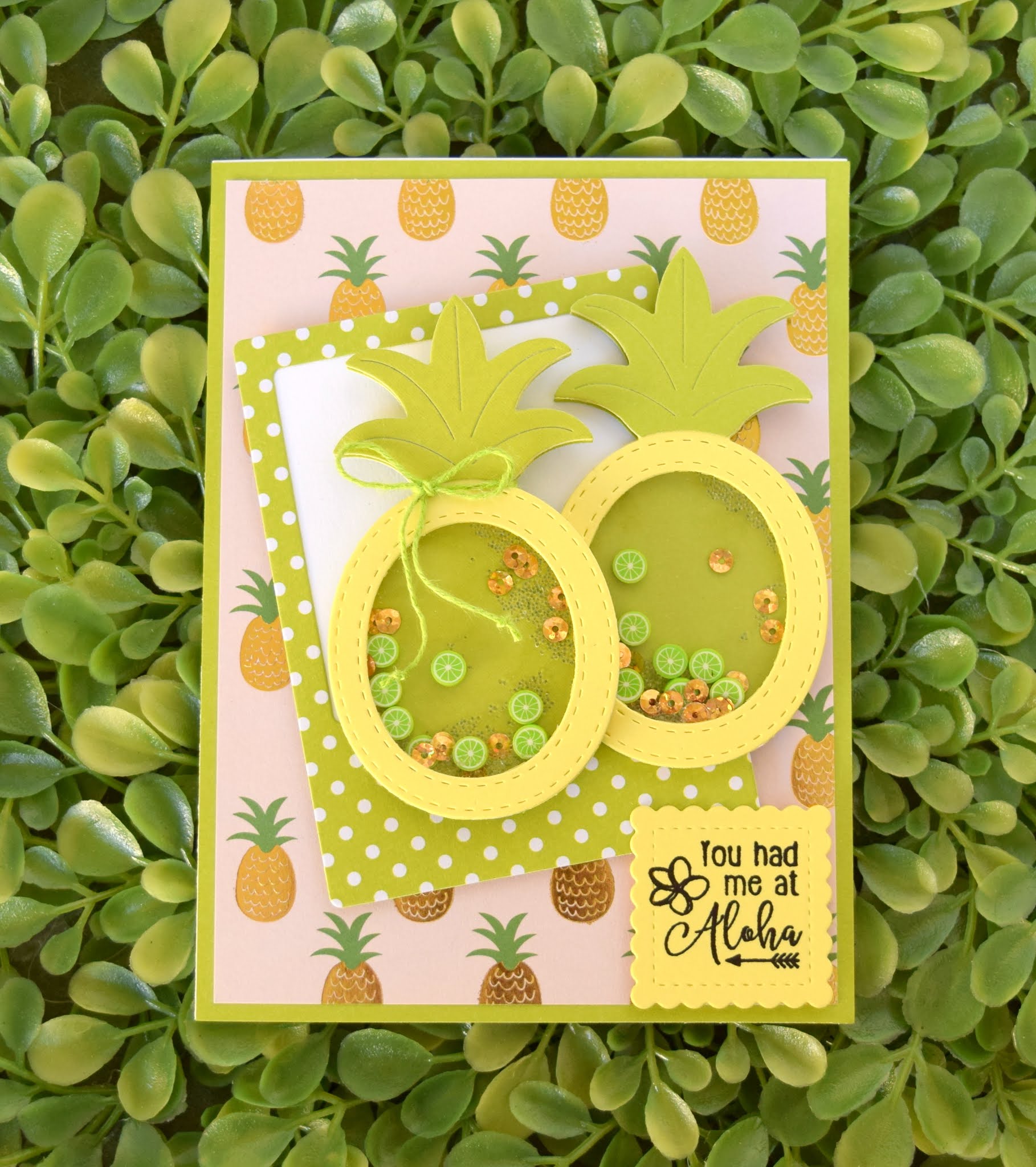 Crafty Creations with Shemaine: Craft Day is here on HSN!!! Sharing ...