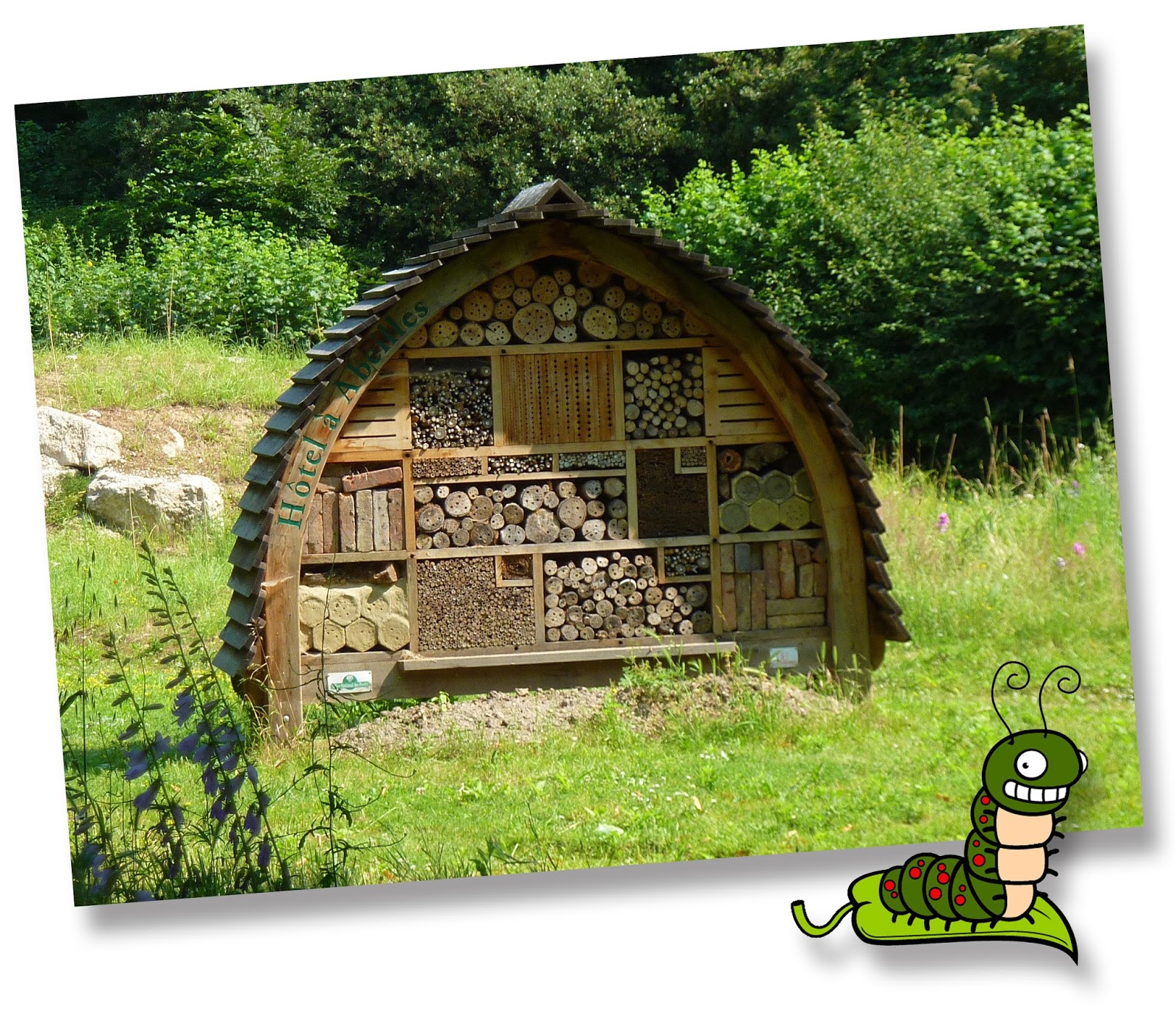 HOTELES PARA INSECTOS