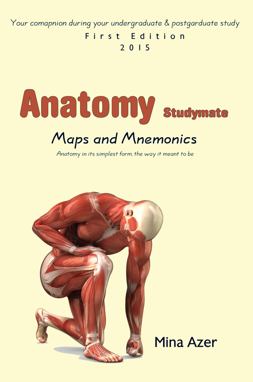 FOCUS : Anatomy Studymate: maps & mnemonics