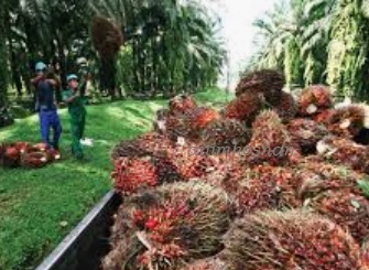 Anim Agro Technology