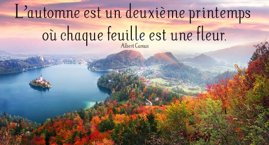 FLE en ESO: C'est l' automne : quelques activités ...