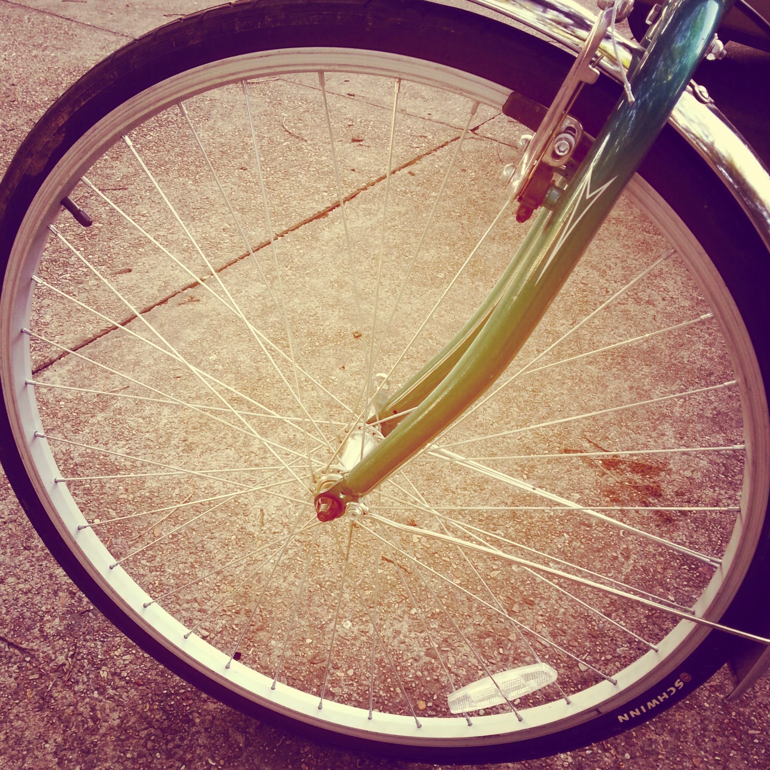 Bikes And Cars Share The Road Eco Cajun bikes-and-cars-share-the-road-eco-cajun