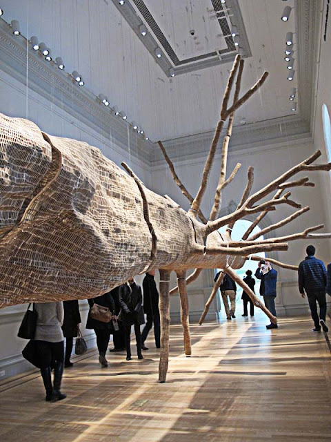 Jennifer Coyne Qudeen: WONDER - John Grade