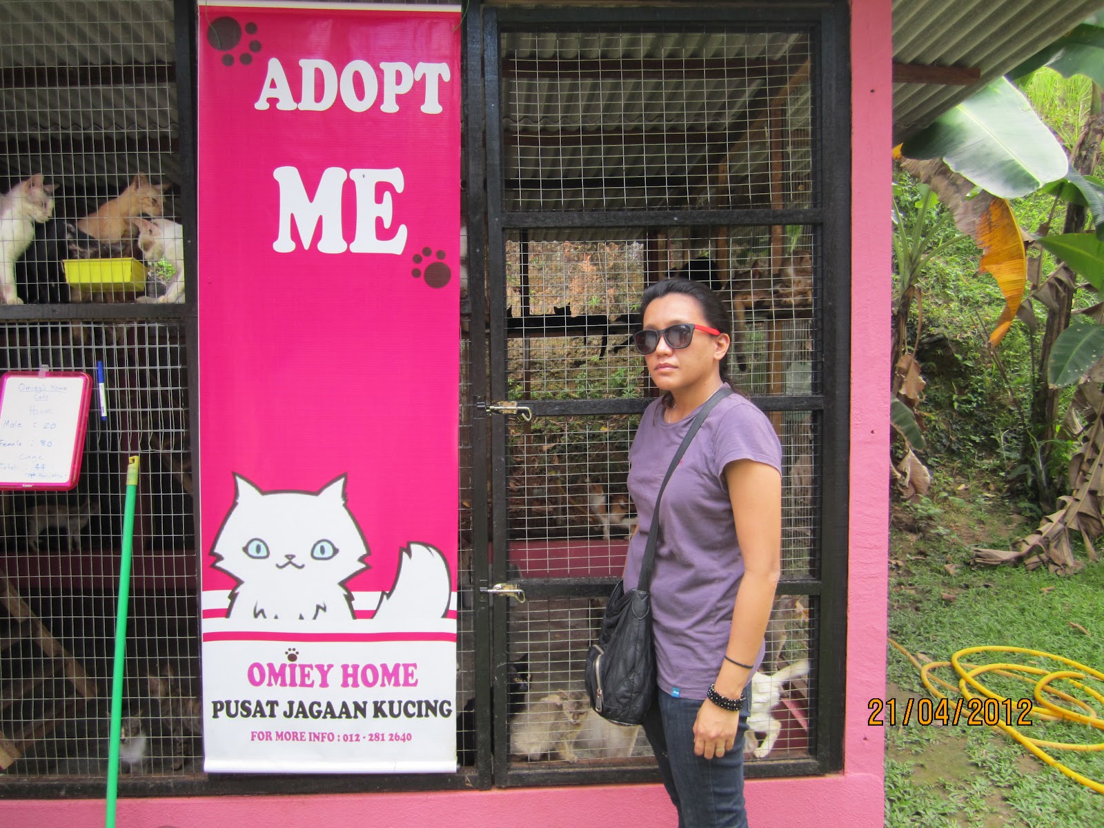 NewroLogical Muse: Our Trip to Pusat Jagaan Kucing Omiey