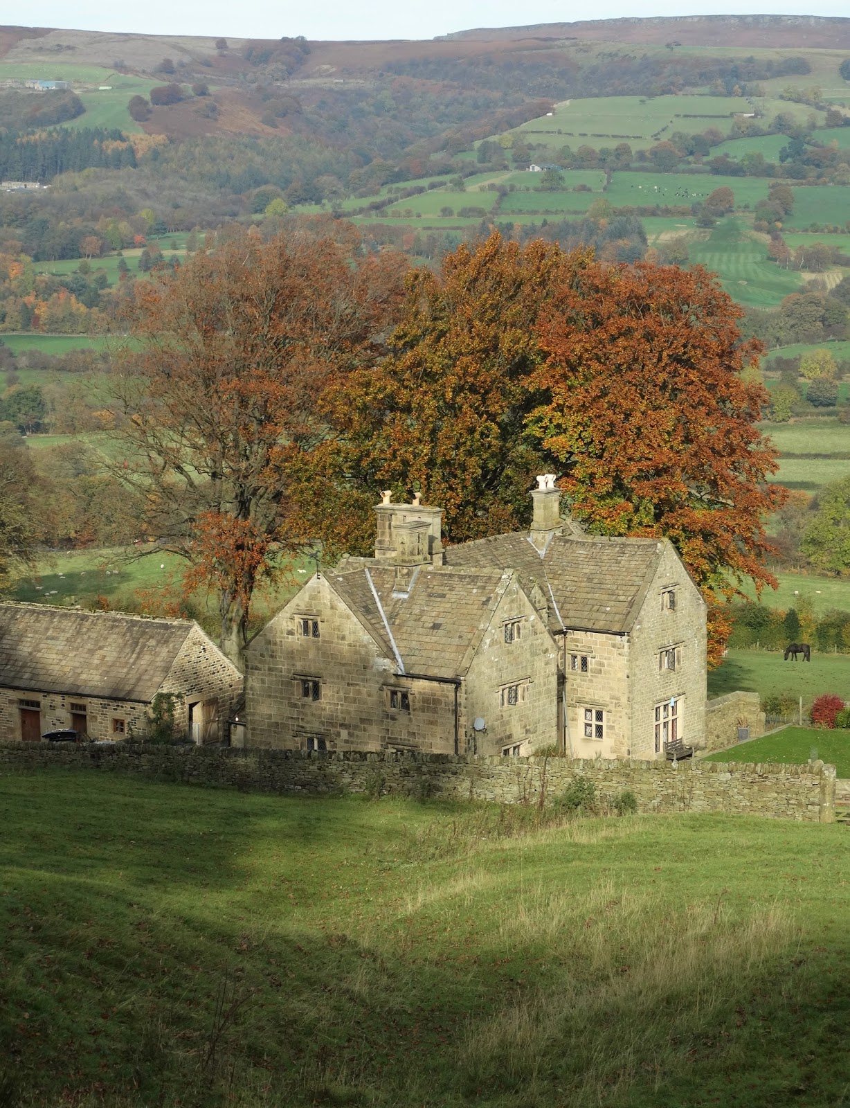 Yorkshire Pudding: Relief