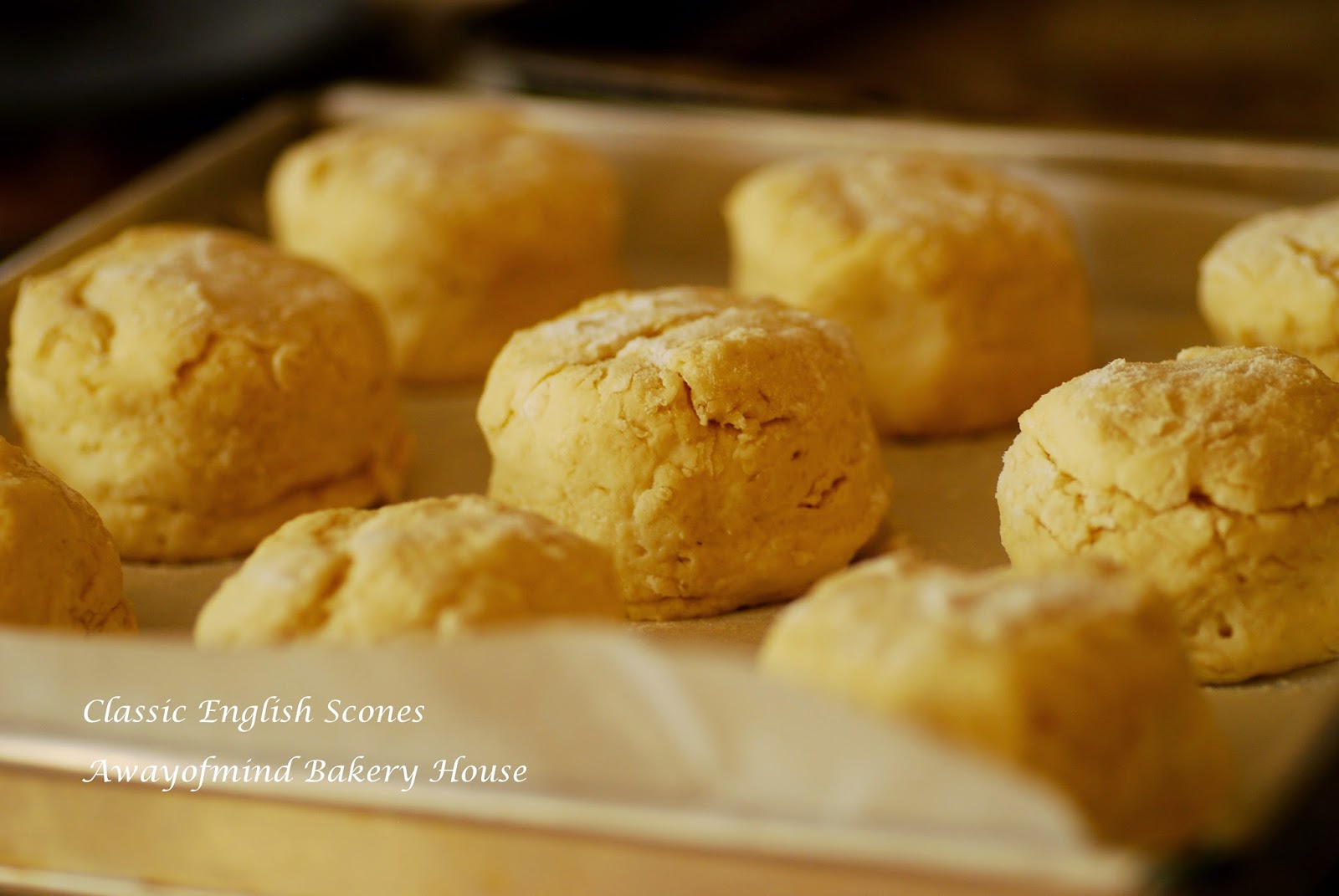 Awayofmind Bakery House: Classic English Scones