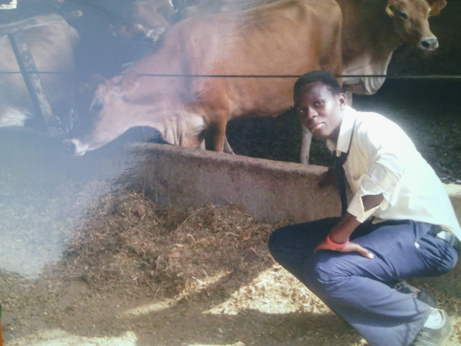 Shonga Farms Holding - Shonga Kwara State | Farming in Nigeria