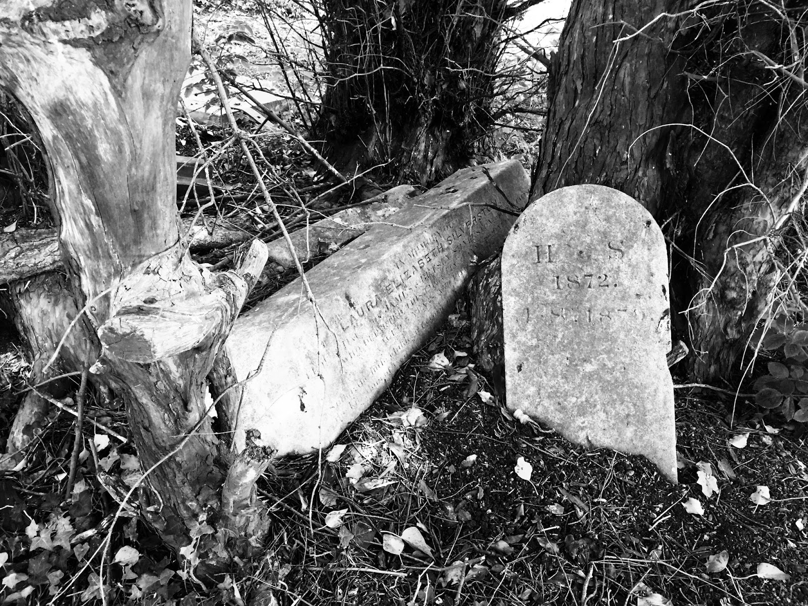 A ride over to Lidgate Castle