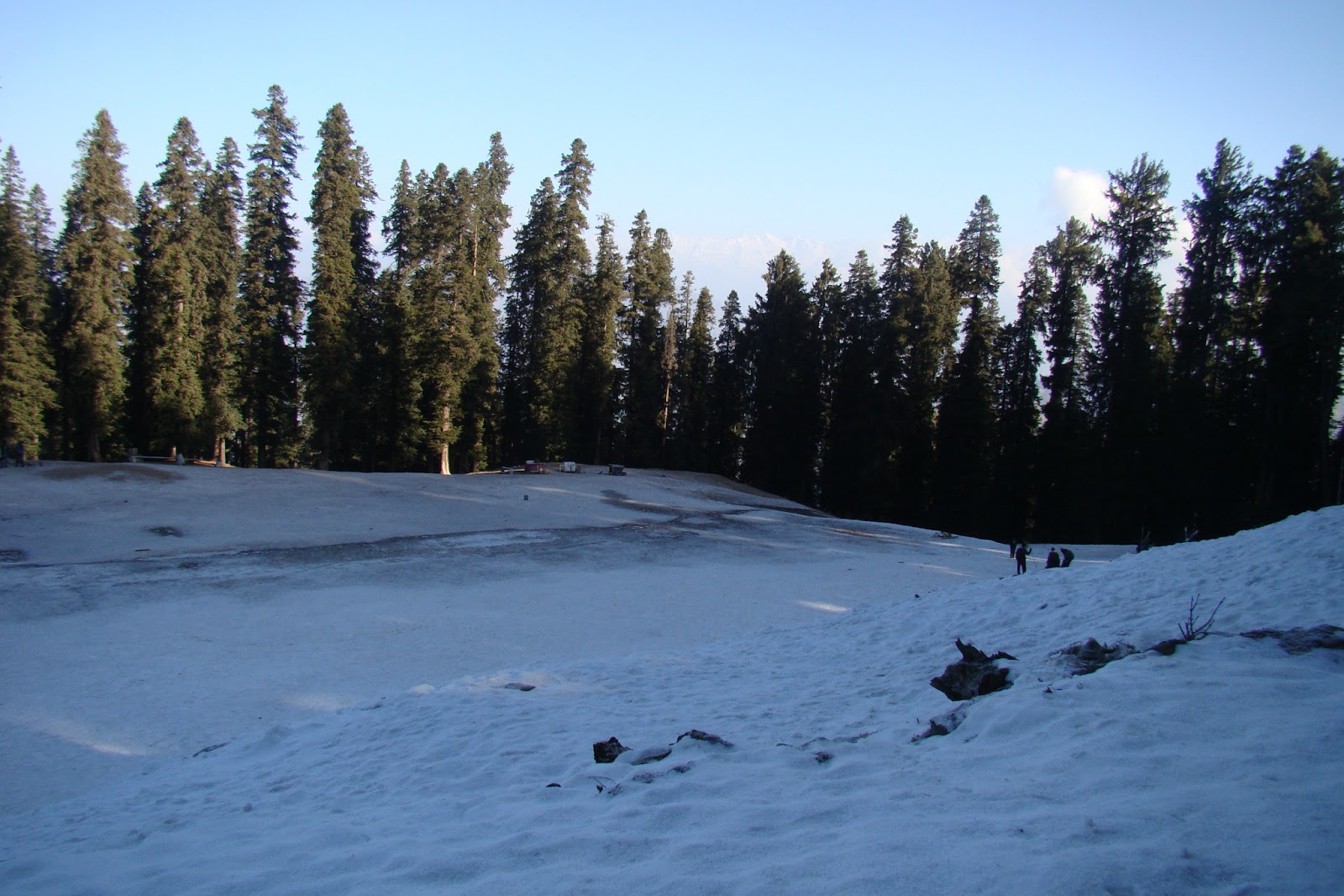 Must Visit Himalayas...: Narkanda,Shimla (HP) - One of the oldest Skii ...