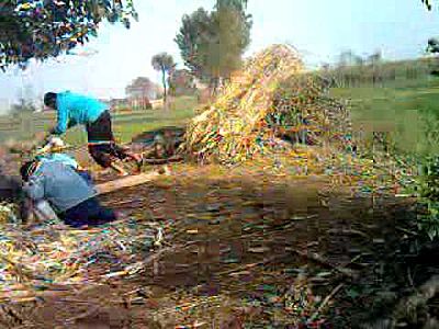 SULEHRI`S SECRETARIAT: ZAFARWAL,NAROWAL,PUNJAB,PAKISTAN