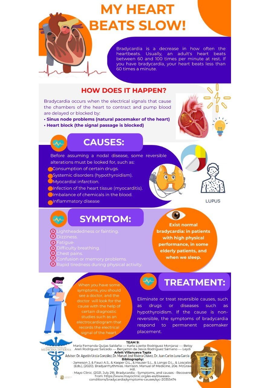 ¡Mi corazón late lento! - DIVULGACIÓN CIENTÍFICA UG