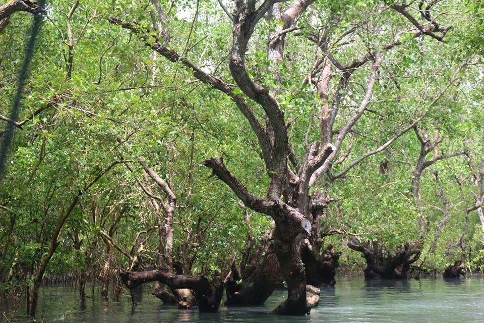 Discover and be Mesmerized. Be Talootized!: Dig deeper into the ...