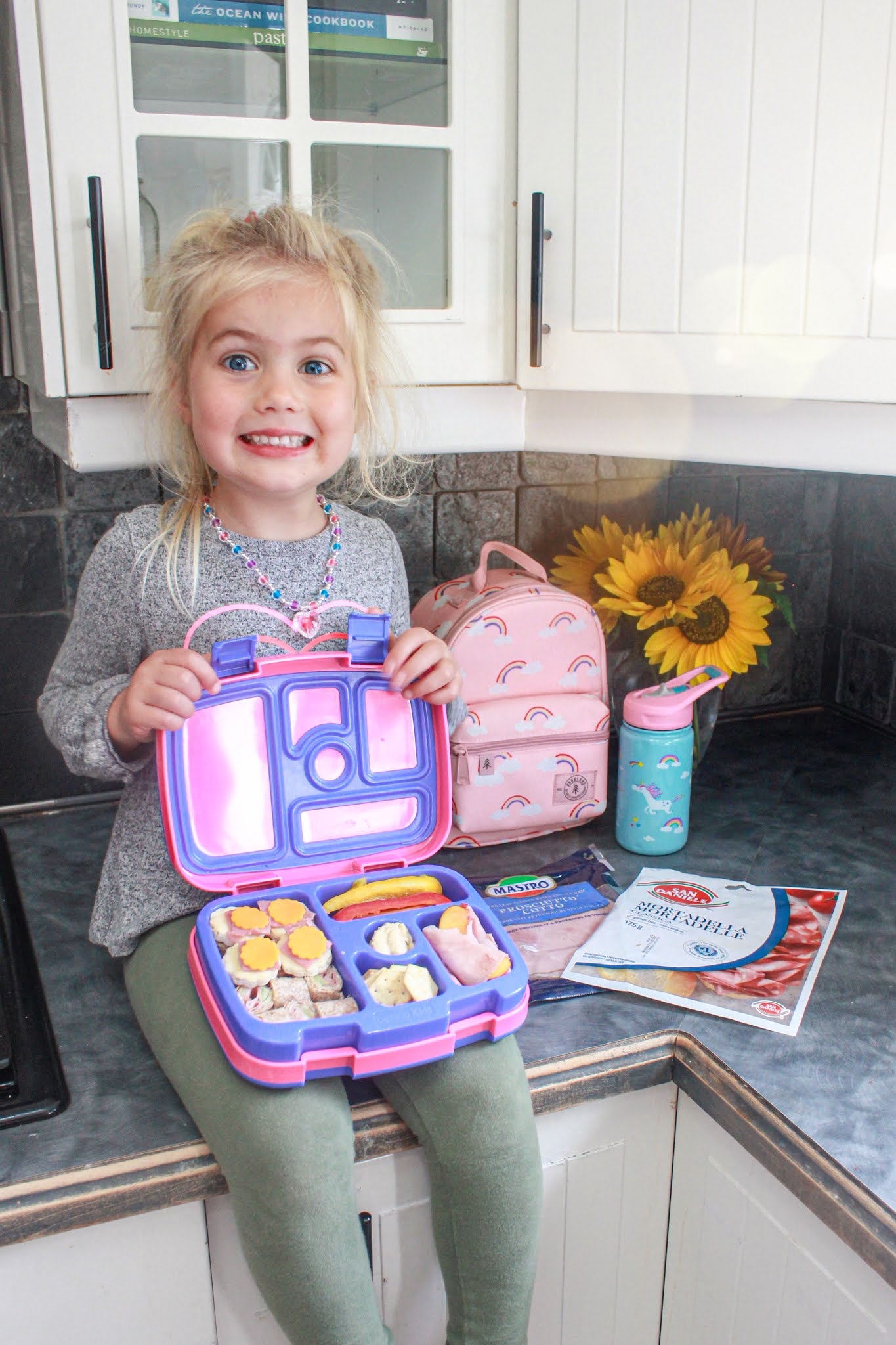 Favourite Packable Kid Friendly School Lunch Ideas To Fro favourite-packable-kid-friendly-school-lunch-ideas-to-fro