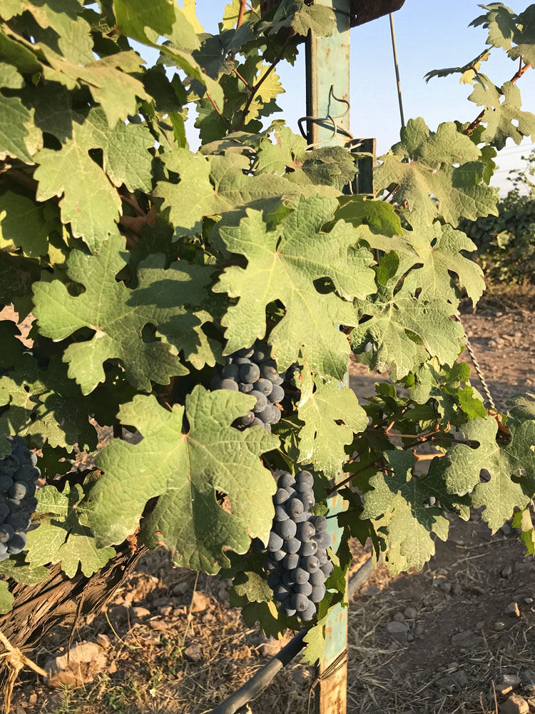 Stock Pictures: 2021