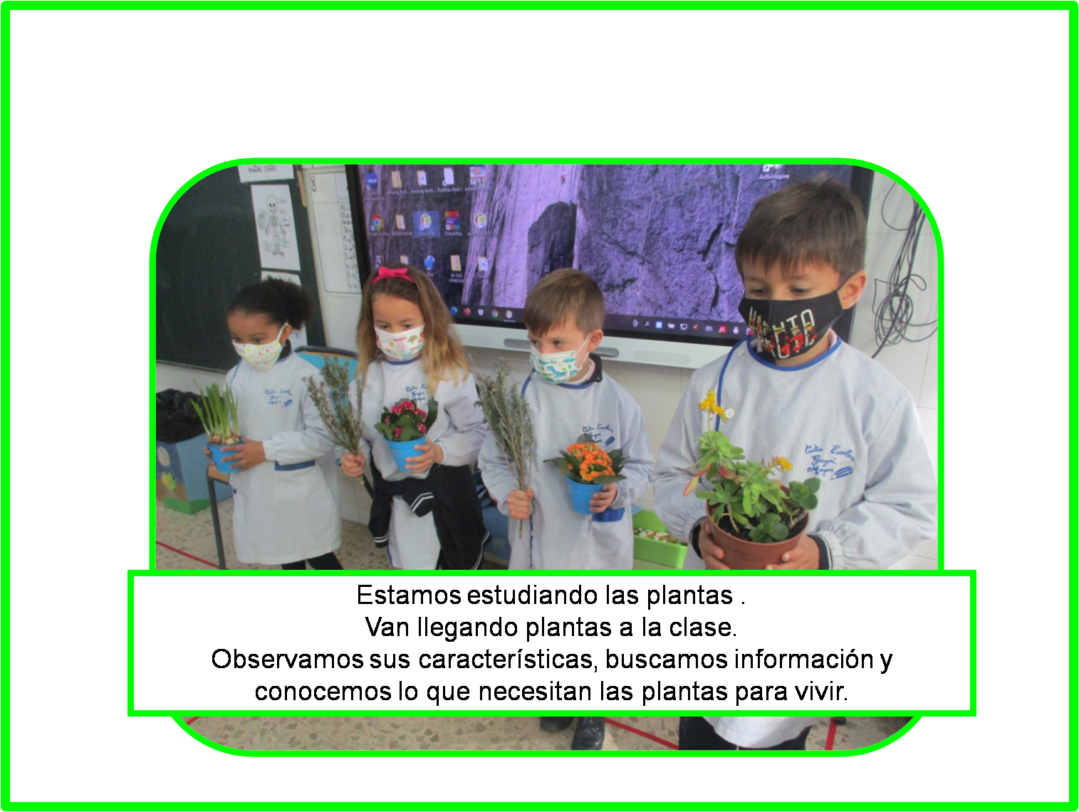 Explorando mundos 1º y 2º Primaria : LAS PLANTAS DE LA CLASE
