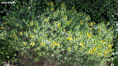 Algarve: Cerro de São Miguel