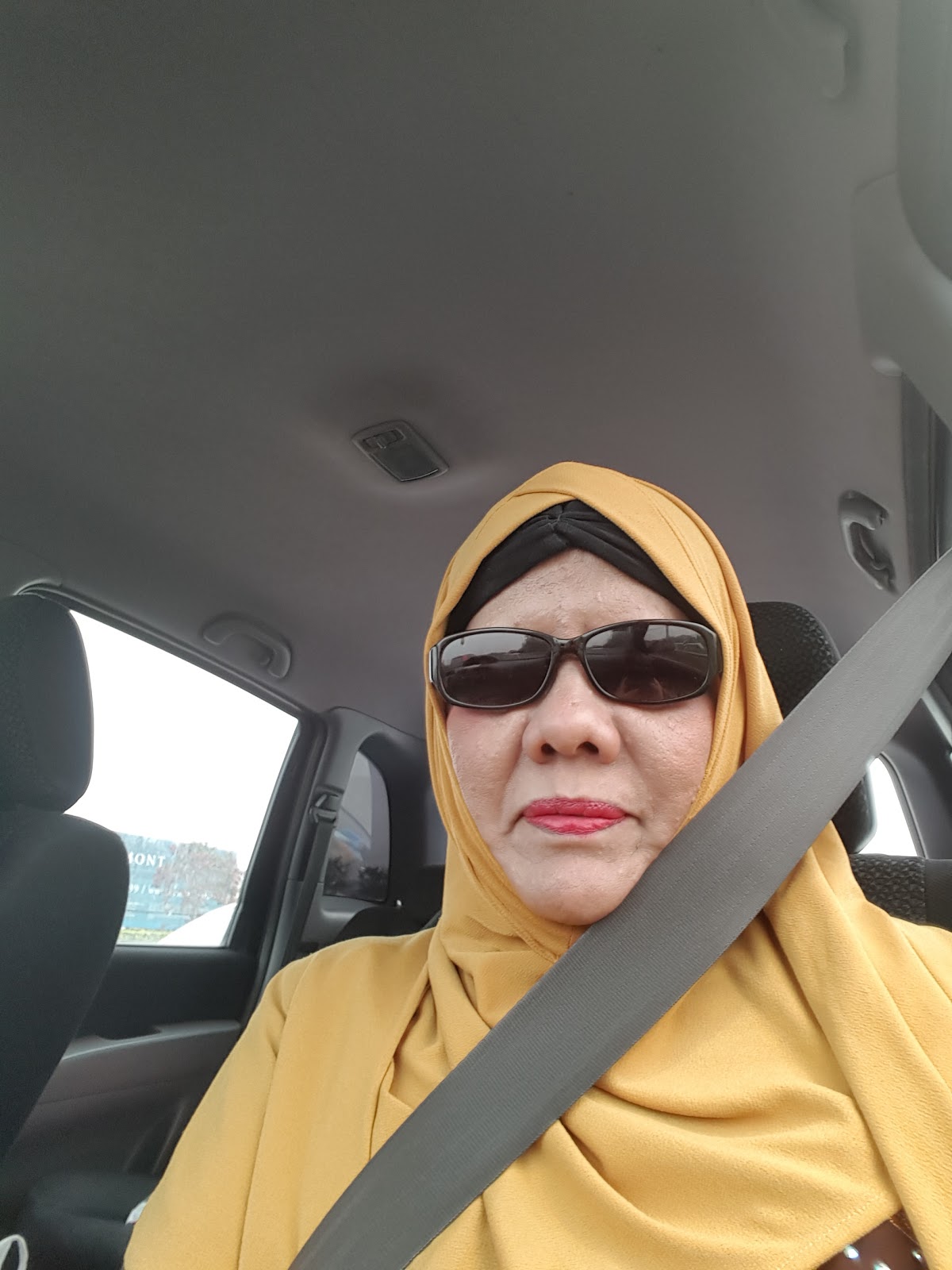 Zurinah Hassan Brief Biodata On Malaysian Literature