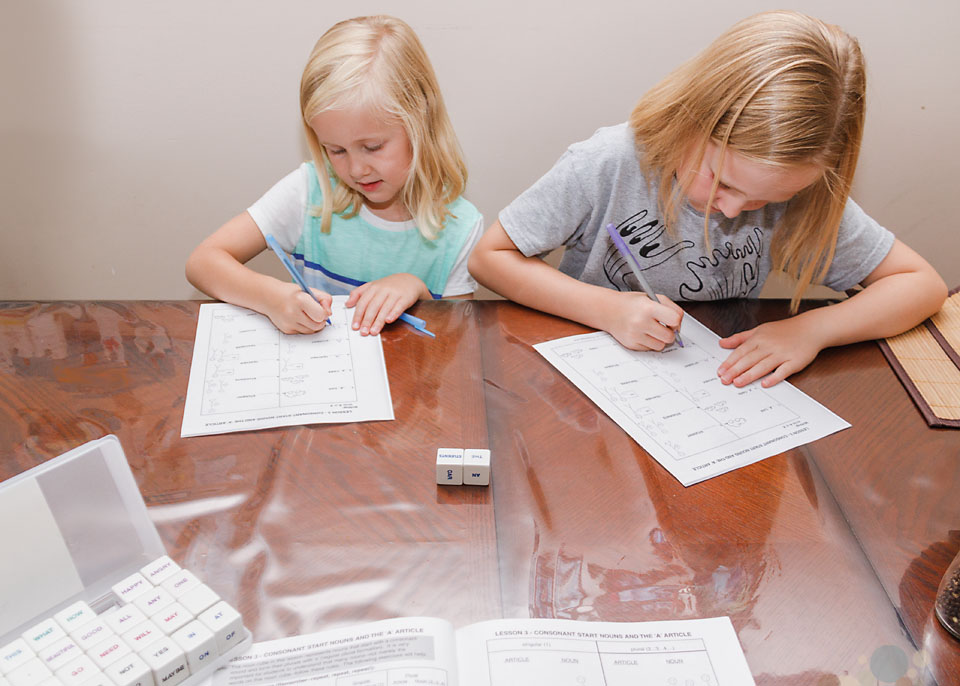 As We Bloom: English on a Roll Review