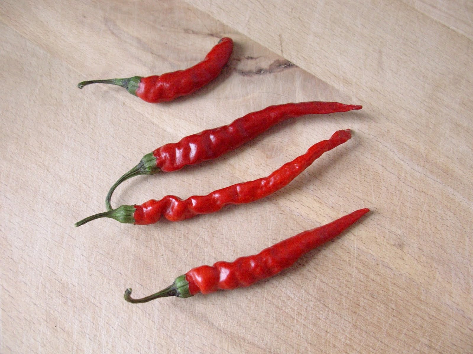 Tienda de plantas: Guindilla roja [semillas]