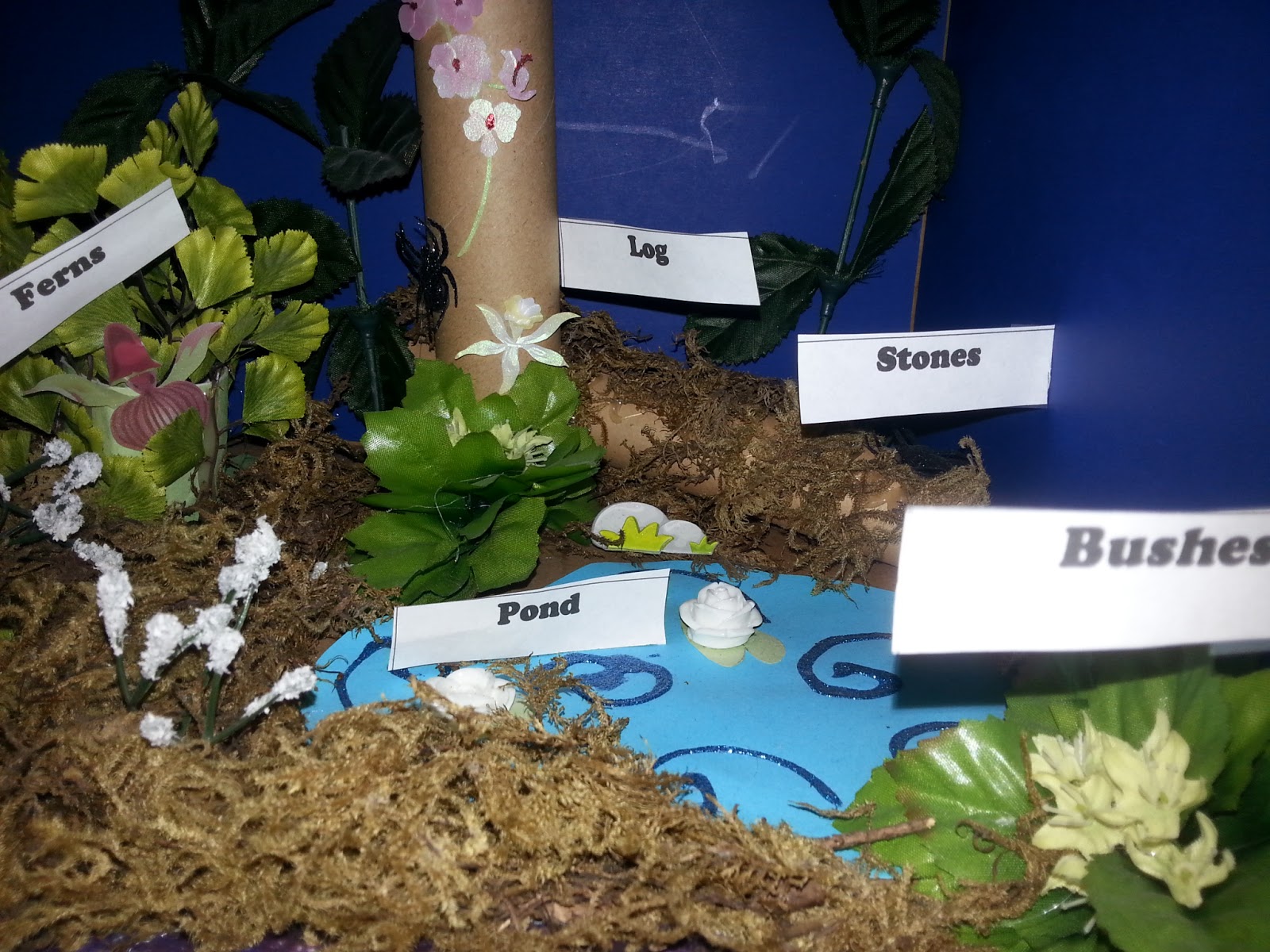a faithful attempt: Science Habitat Dioramas- Forest Towers
