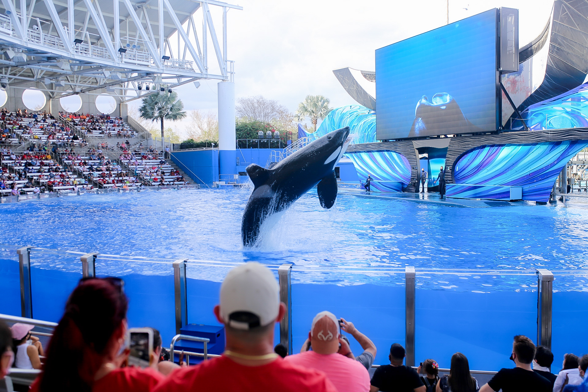 Family Guide to: SeaWorld Orlando