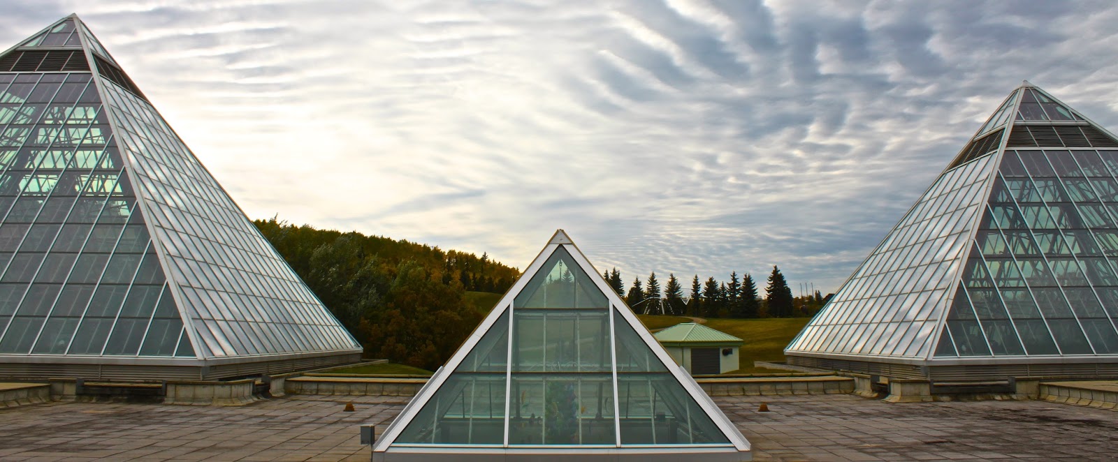 Edmonton's Muttart Conservatory