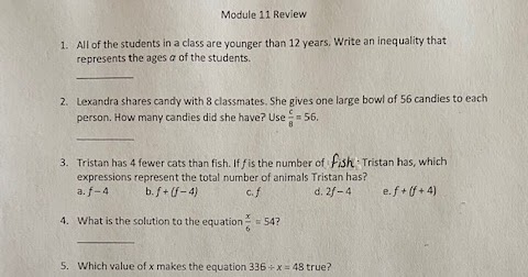 Mrs. Negron 6th Grade Math Class: Module 11 Study Guide