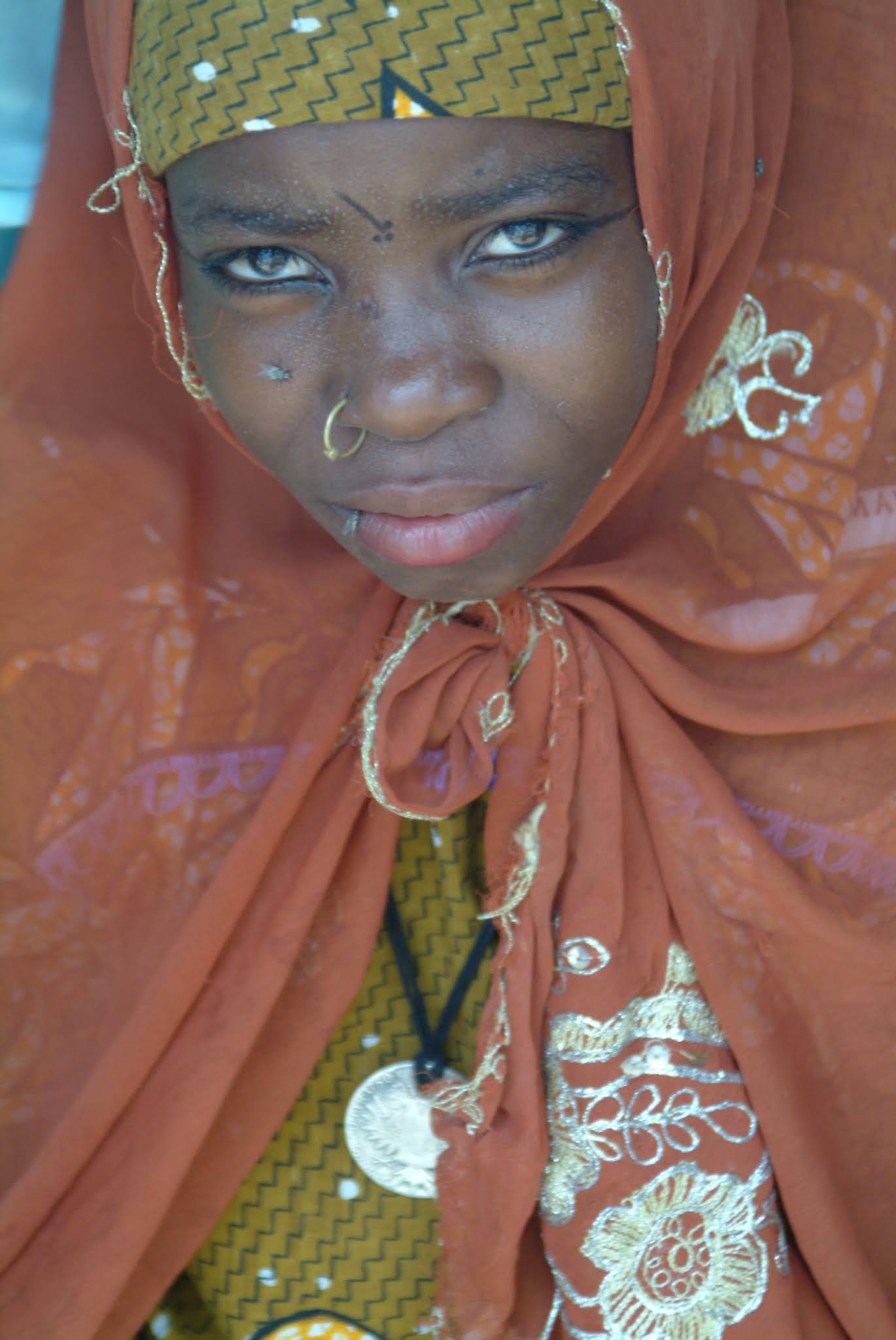 "We're Diving-In": 21-27 September 2020 Herron's Prayer Blog