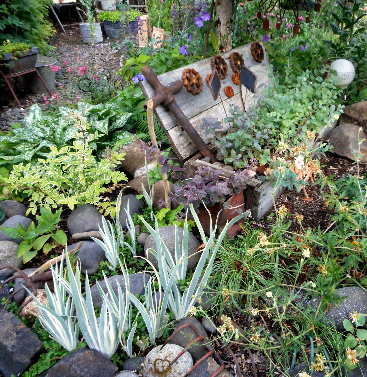 Gardening With Grace: Random Garden Photos