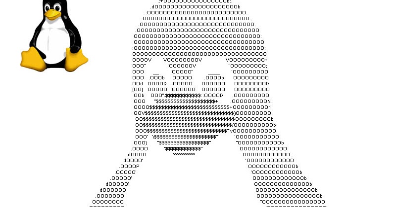 Ubuntu Linux: Como escribir símbolos ASCII en el terminal de ubuntu