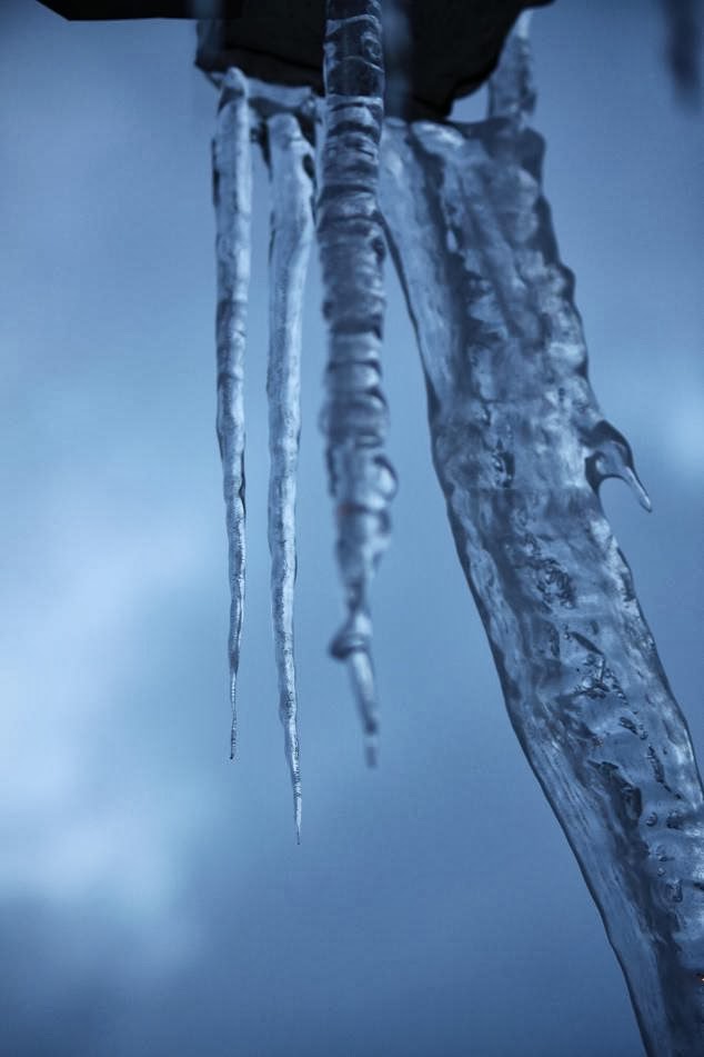 Michigan Exposures: Some Icicles