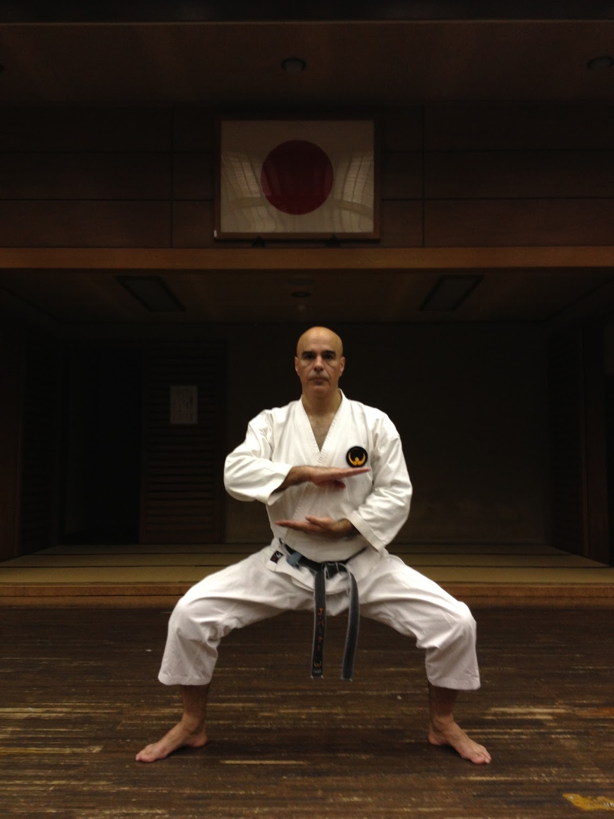Traditional Gojuryu Karatedo: Tenchi no Kamae / Ninoji no Kamae
