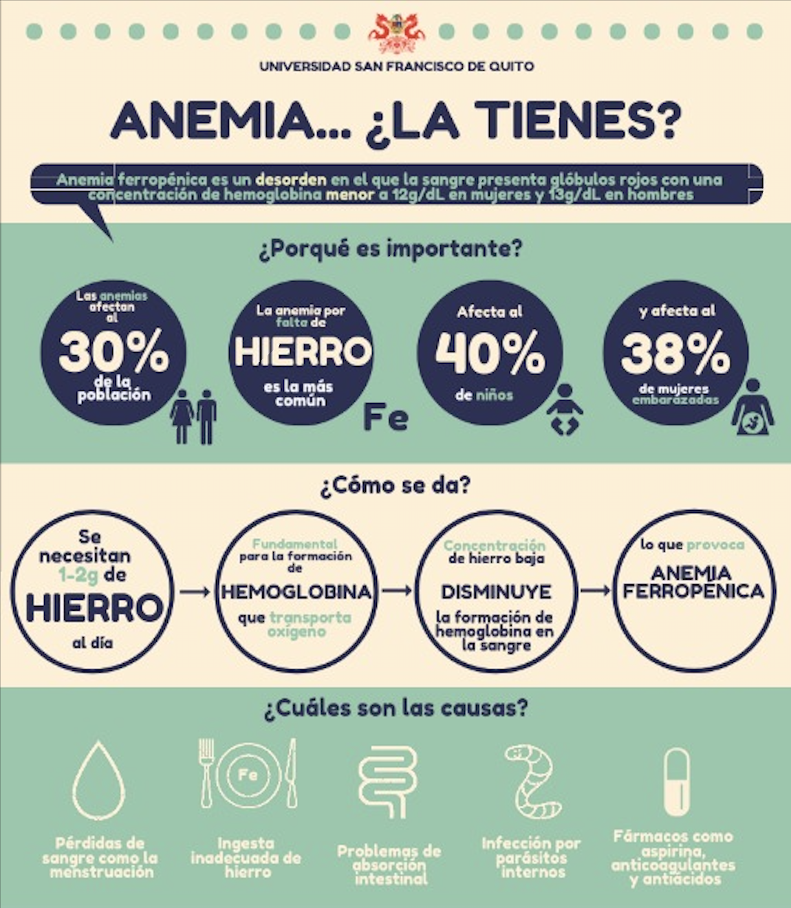 Anemia: ¿la tienes? - Noticias USFQ