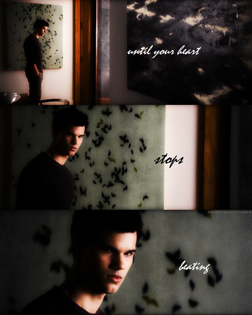 The Twilight Sagas: Picture of the day!