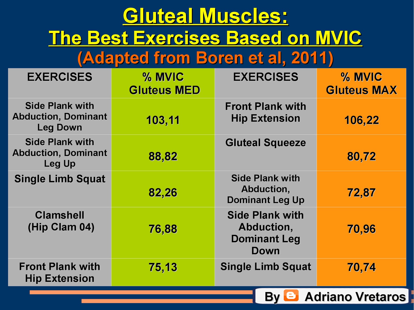 Glute Muscles Anatomy