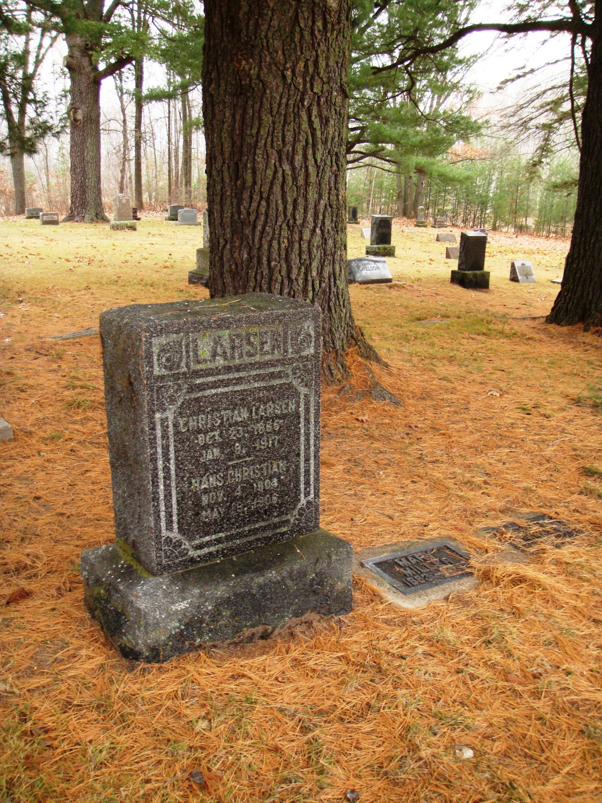 Minnesota Cemeteries: Darling Cemetery Pioneers (Morrison County) Minnesota